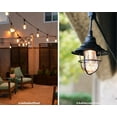 Enbrighten Vintage LED Cafe String Lights, 12ft., Black Cord, 35626 ...
