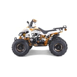 Tao Motor G125 107CC Gas 4-Stroke Engine Kids ATV Engine for Beginner ...
