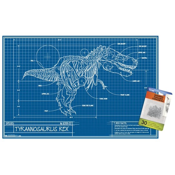 T-Rex - Blueprint Illustration Wall Poster with Push Pins, 14.725" x 22 ...