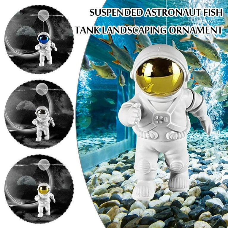 Astronaut Fish
