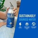 Ever & Ever Still Water, 16 fl oz Bottle Can (Pack of 12) - Walmart.com