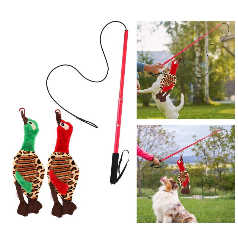 Buy Interactive Dog Wand Toy Stick Catcher Cat Kittens Chase Boredom ...