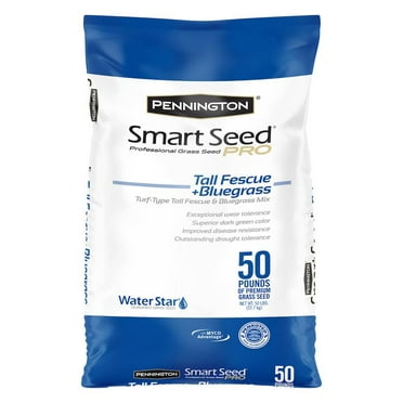 Pennington Smart Seed Professional Grass Seed Tri-Fescue Tall Fescue ...