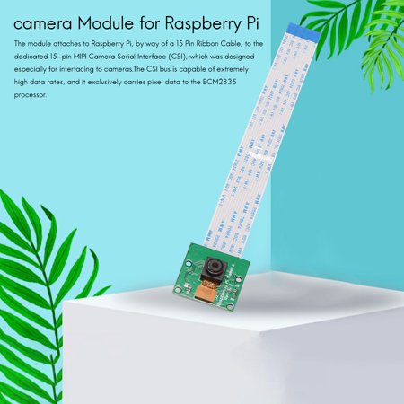 Camera Module Board 5MP Webcam for Raspberry Pi Zero W/Zero/ Raspberry ...