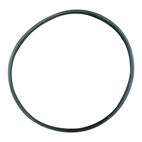 SPX5500K Hayward Strainer O Ring - Walmart.com