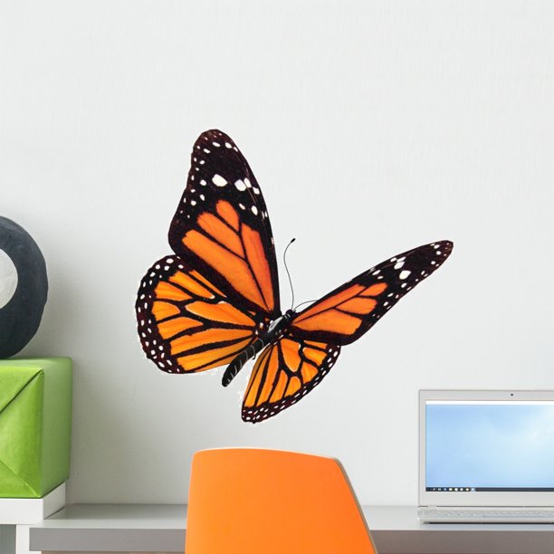Digital Render Monarch Butterfly Wall Decal by Wallmonkeys Peel and ...