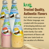 Kuii Original Flavor Coconut Milk Drink - Natural, 9.81 Fluid Ounces ...