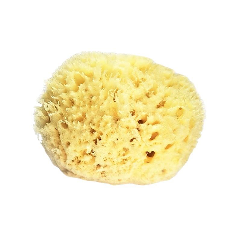Click here for Yundap Sea Wool Sponge 3.0-3.5 (Large) By Bath & S... prices