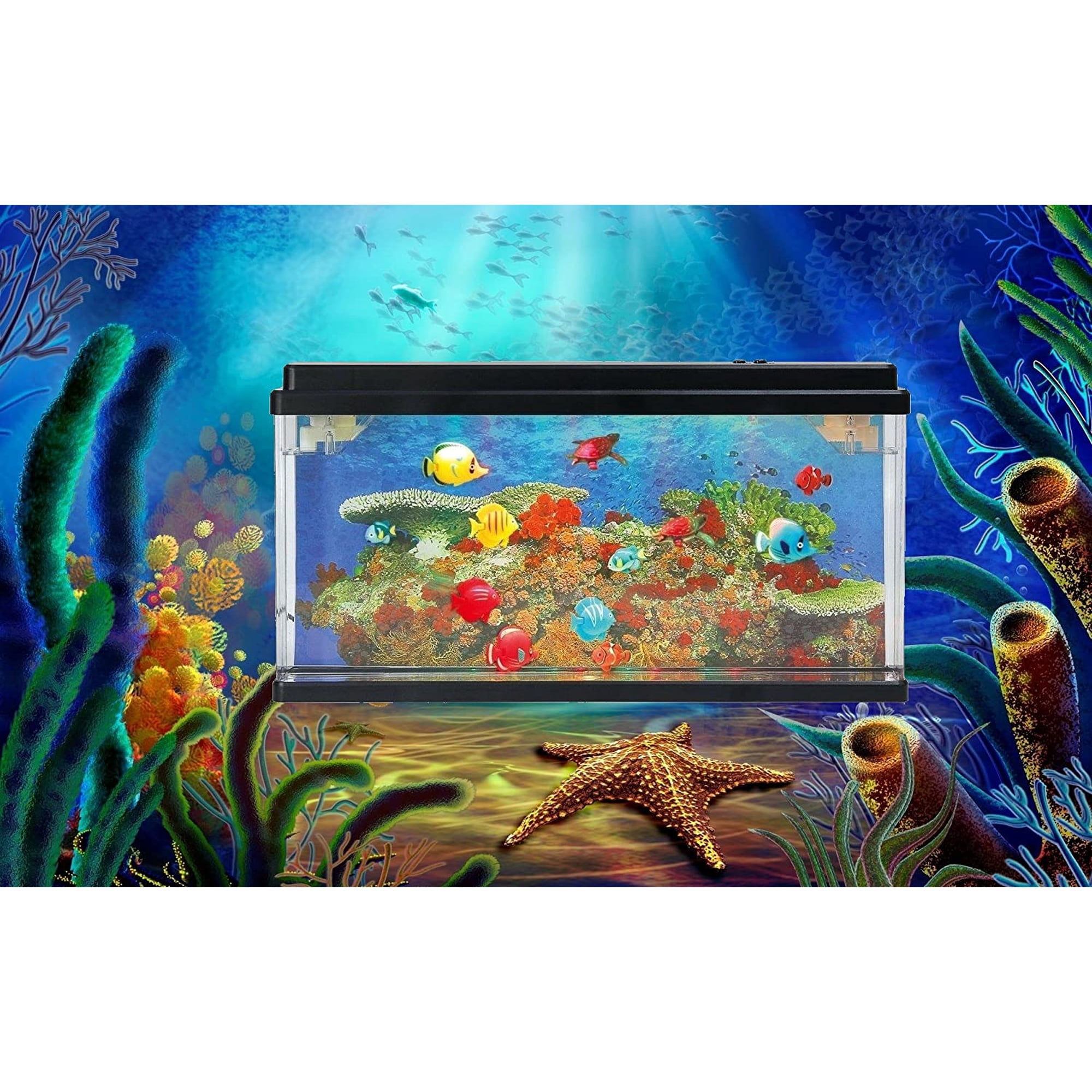 Big Aquarium Fish