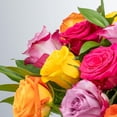One Dozen Long Stem Rose Bouquet – Real Fresh Flowers for Delivery ...