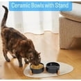 Ceramic Cat and Small Dog Bowl Set – Modern Indoor Small Size Pet Food ...