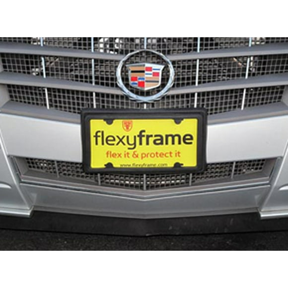 License Plate Bumper Guard
