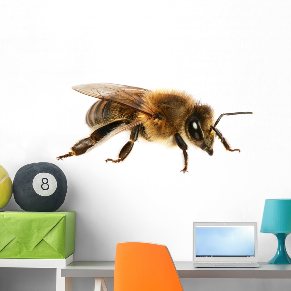 Bee Wall Decal by Wallmonkeys Peel and Stick Graphic (36 in W x 17 in H ...