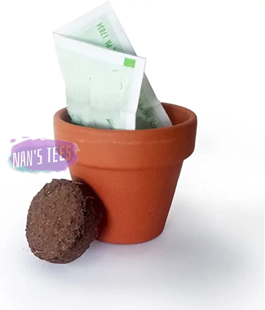 Terracotta Mini Grow Pot Kit | Assorted | Best Gardening Gifts, Favors ...