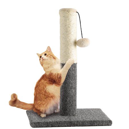Cat Scratching Post, Cat Interactive Toys with Top Tease Toy Ball ...