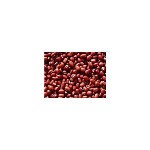 Bean Small Red Great Heirloom Garden Vegetable By Seed Kingdom 35 Seeds ...
