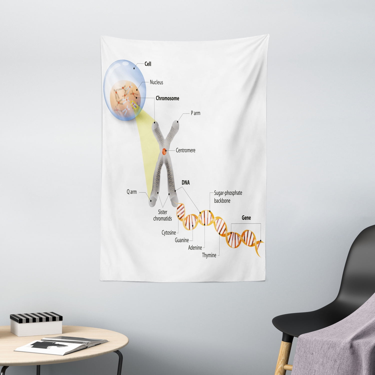 Educational Tapestry, Cell Chromosome DNA Gene Genome Study Double ...