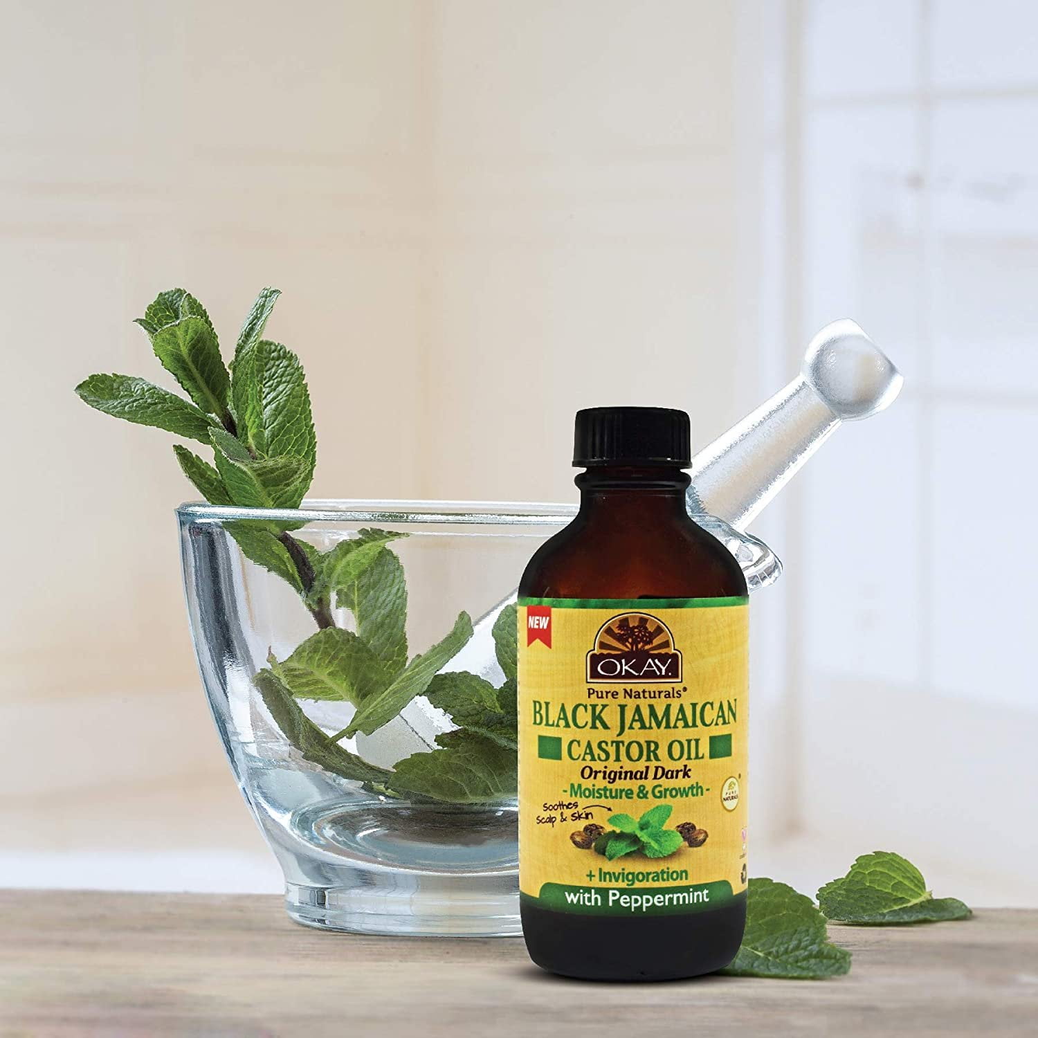 Jamaican Mint Tree Jamaican Mint Tree, Kama Sutra Mint Tree Satureja ...