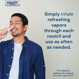 Equate Non-Medicated Vapor Inhaler Stick, Menthol Scent, 3 Count ...