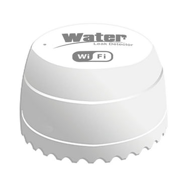 Moen 900-006 Flo By Moen 1" in. Smart Water Shutoff - Walmart.com