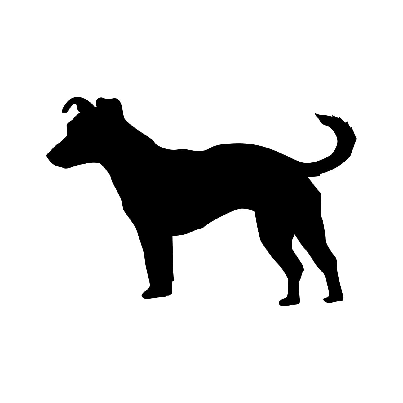 Jack Russel Terrier Sticker Decal Die Cut - Self Adhesive Vinyl ...