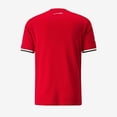Puma Egypt Men's Home Jersey World Cup 2022 - Walmart.com
