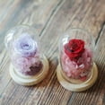 6pcs Glass Dome Cover Decorative Display Case Cloche Bell Jar Terrarium ...