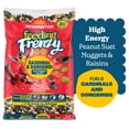 Pennington Feeding Frenzy Cardinal and Songbird, Wild Bird Food Blend ...