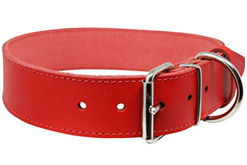 High Quality Genuine Leather Dog Collar Red 7 Colors (18"-20.5" Neck; 1 ...