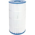 Pureline Pool Replacement Cartridge Filter, 100 Sq Ft, PL0165 ...