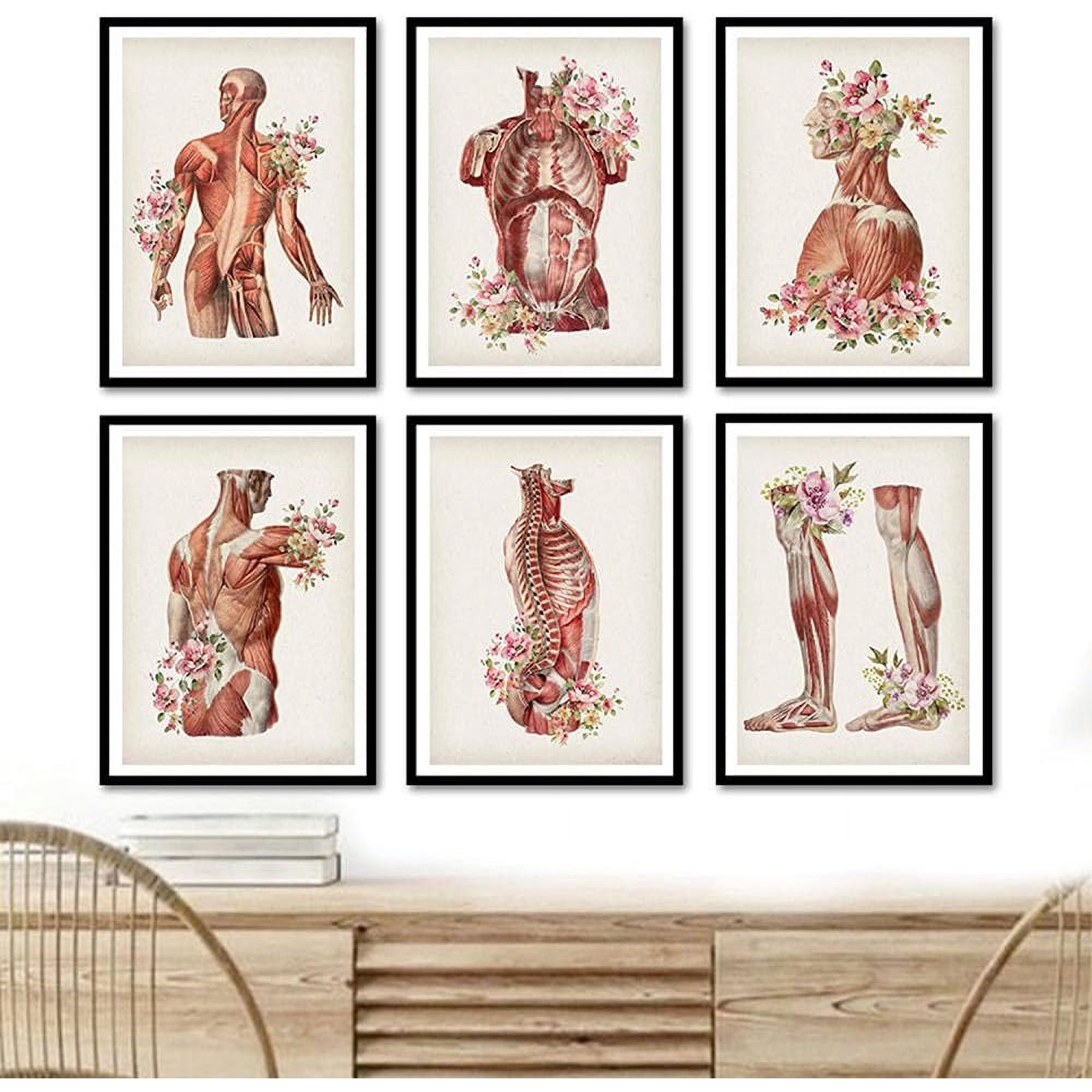 Click here for Laicaiw Flowers Human Body Anatomy Medicine Wall A... prices