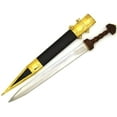 Medieval Warrior Roman Pompeii Sword with Scabbard Razor Sharp ...
