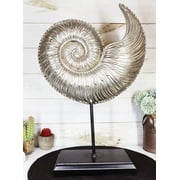 Nautilus Shell Stand