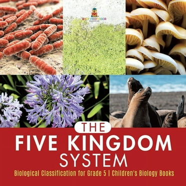Cell Biology 7th Grade Textbook Children's Biology Books (Paperback ...