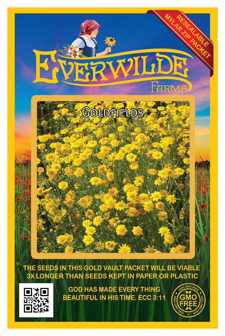 Everwilde Farms - 2000 Goldfields Native Wildflower Seeds - Gold Vault ...