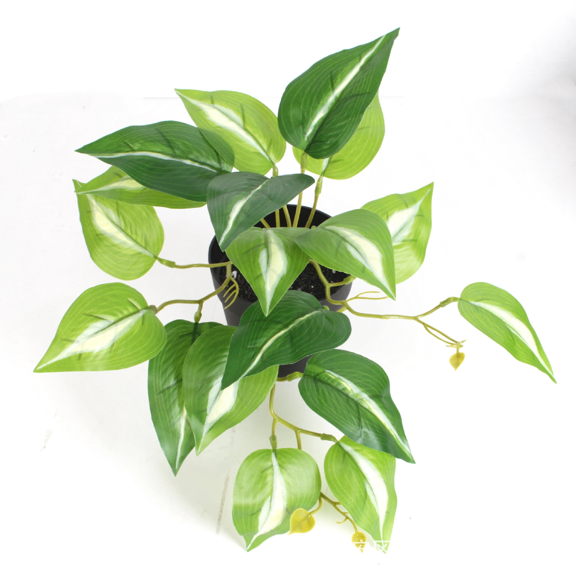 Una variedad de plantas de simulación opcionales, mini hojas de tortuga ...