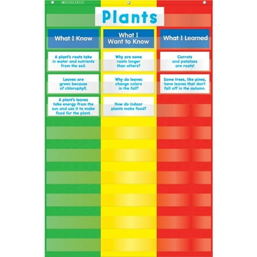 Learning Resources 2 and 4 Column Double-Sided Pocket Chart - Walmart.com