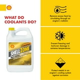 ShellZone Multi-Vehicle Antifreeze/Coolant, Concentrate, 1 Gallon ...