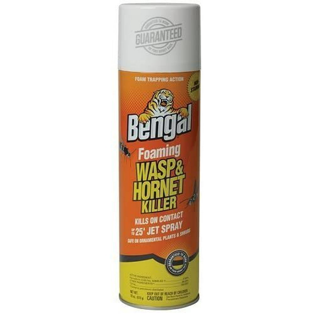 Bengal Products, Inc Bengal Foaming Wasp & Hornet Insecticide - Walmart ...