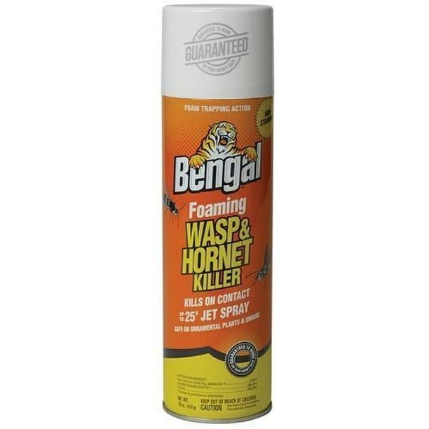 Bengal Products, Inc Bengal Foaming Wasp & Hornet Insecticide - Walmart ...