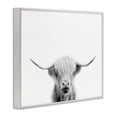 Stupell Industries Scottish Cow Portrait White Framed Giclee Art ...