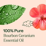 Plant Therapy Geranium Bourbon Essential Oil 100% Pure, Undiluted ...
