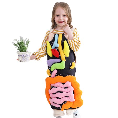 SAYOO 3D Model Stuffed Viscera Internal with Adjustable Belt ...