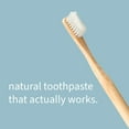 Moringa Mineral Rich Fluoride Free Toothpaste 3.3 oz - Walmart.com