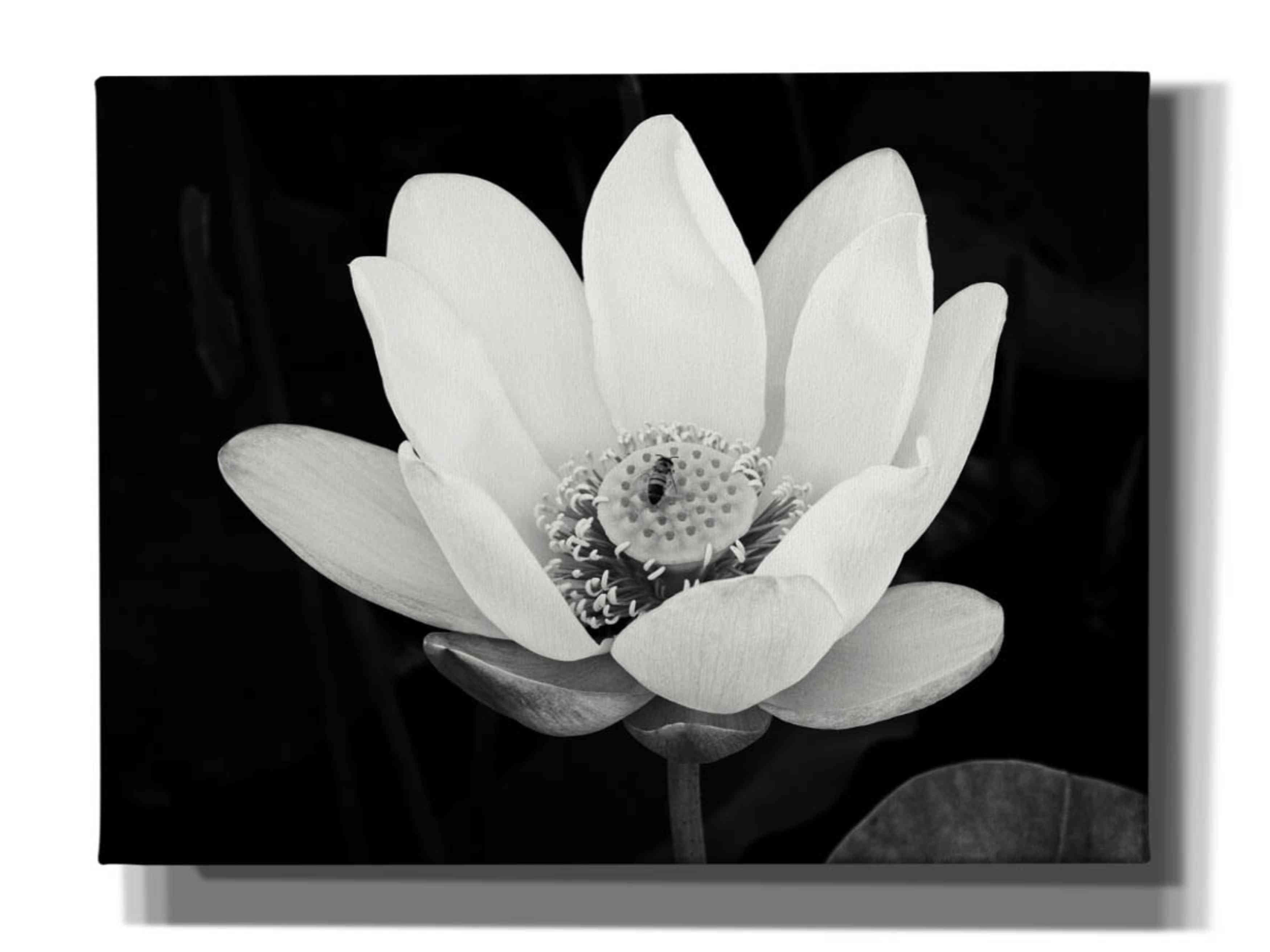 Epic Graffiti 'Lotus Flower I v2' by Debra Van Swearingen, Canvas Wall ...