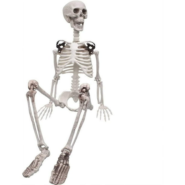 Halloween skeleton full body life like skeleton model with movable ...