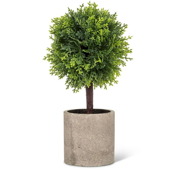 Conifer Topiary in Pot - Walmart.com