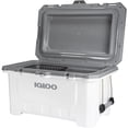 Igloo 70 qt. IMX Series Ice Chest Cooler - White - Walmart.com