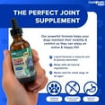 LIQUIDHEALTH 2 Oz Dog Glucosamine Drops Joint Juice, Chondroitin Hip ...