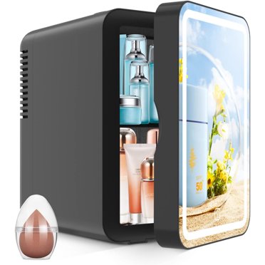 Mini Fridge, Portable Beauty Makeup Skincare Fridge with Dimmable LED ...